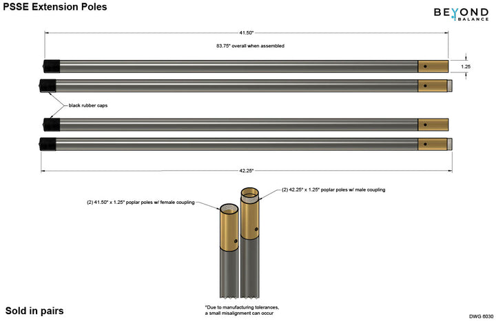 PSSE Extension Poles | Physical Therapy | Beyond Balance